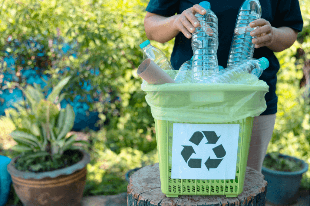 Sustainability in Packaging: The Eco-friendly Benefits of Tin Cans | C ...